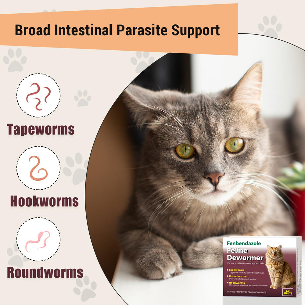 Alltripal Dewormer for Cats & Kittens – Fenbendazole for Tapeworms, Ro ...