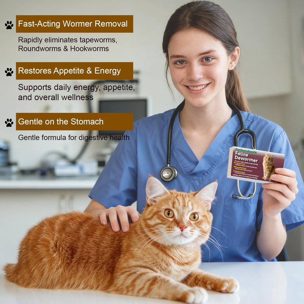Alltripal Dewormer for Cats & Kittens – Fenbendazole for Tapeworms, Ro ...